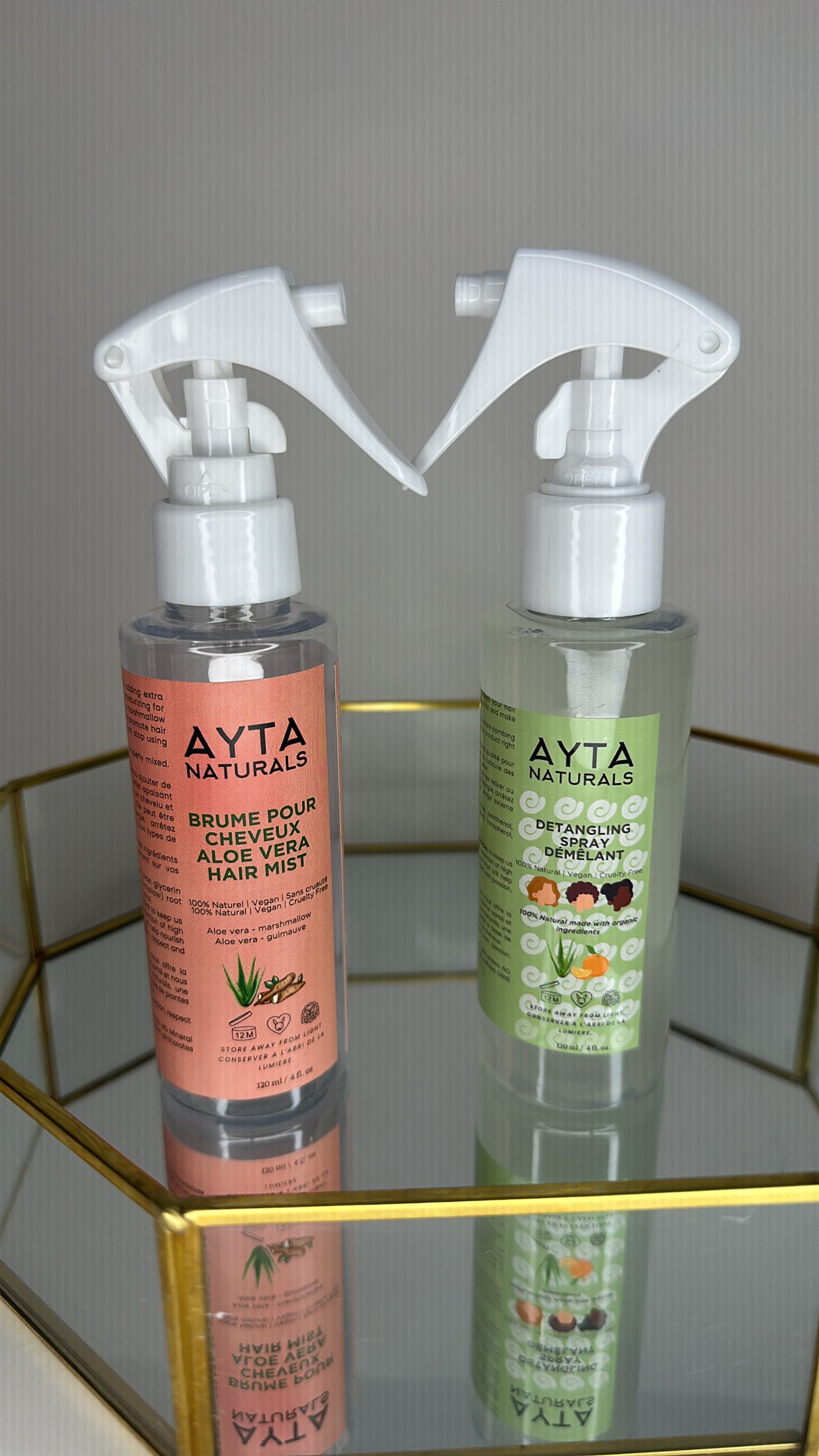 Duo - brume hydratante et démêlant capillaire – AYTA NATURALS